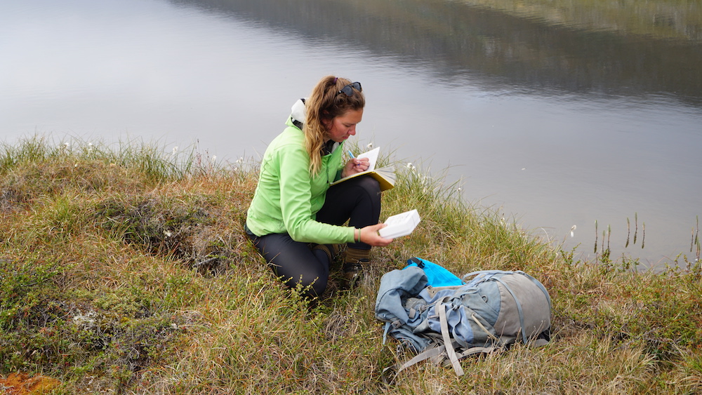 Exploring Greenland With Wings, Boats and Drones | Columbia Science Commits