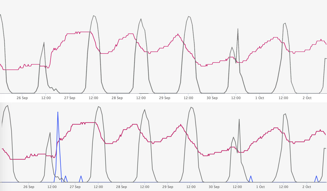 The Secret Life of Trees | Columbia Science Commits